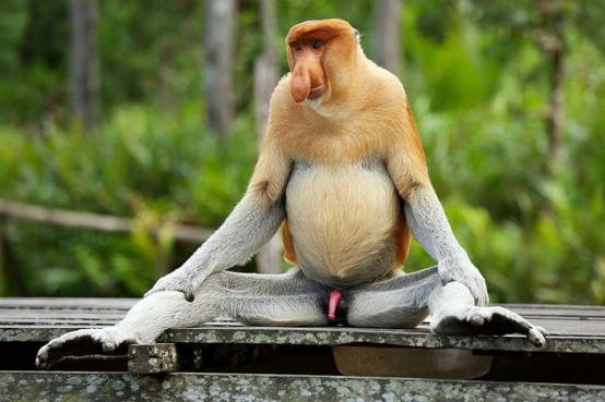 Self-transparency or self-disgrace? When is exposing our vulnerability ...