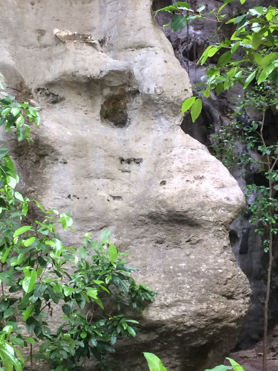 Big Belief – colleen thornton